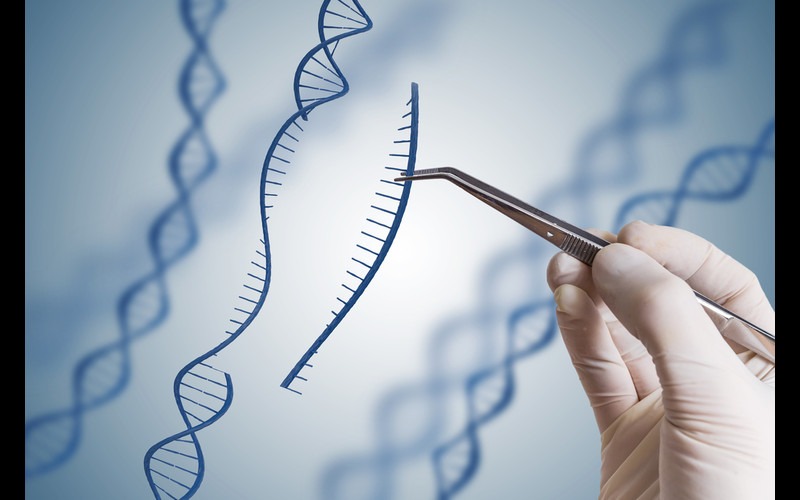 Gene Therapy Used to Grow Replacement Skin | A Breakthrough