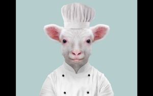 Scientists create Sheep-Human hybrids!