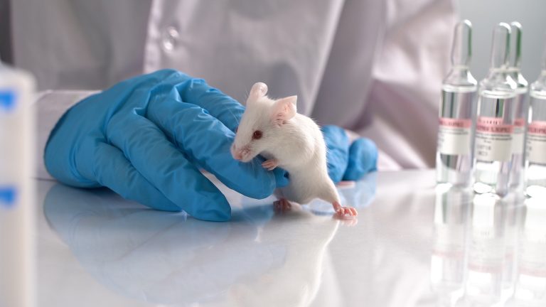 HIV ‘Removed From Mice’ In Research