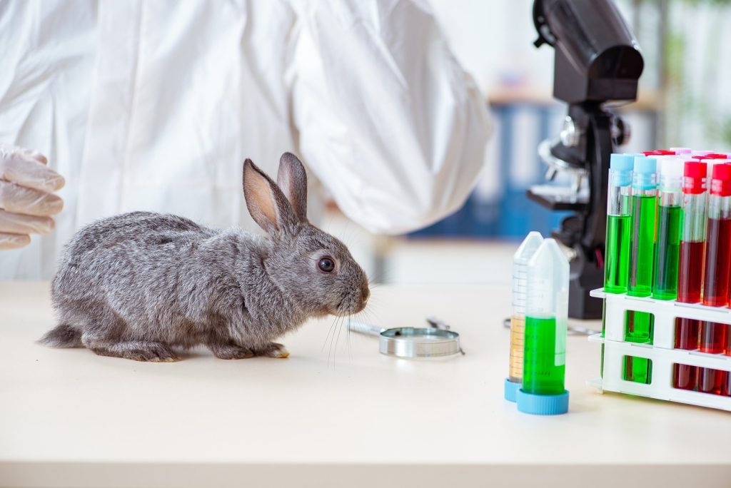 Animal Testing Falls To Lowest Level Since 2007